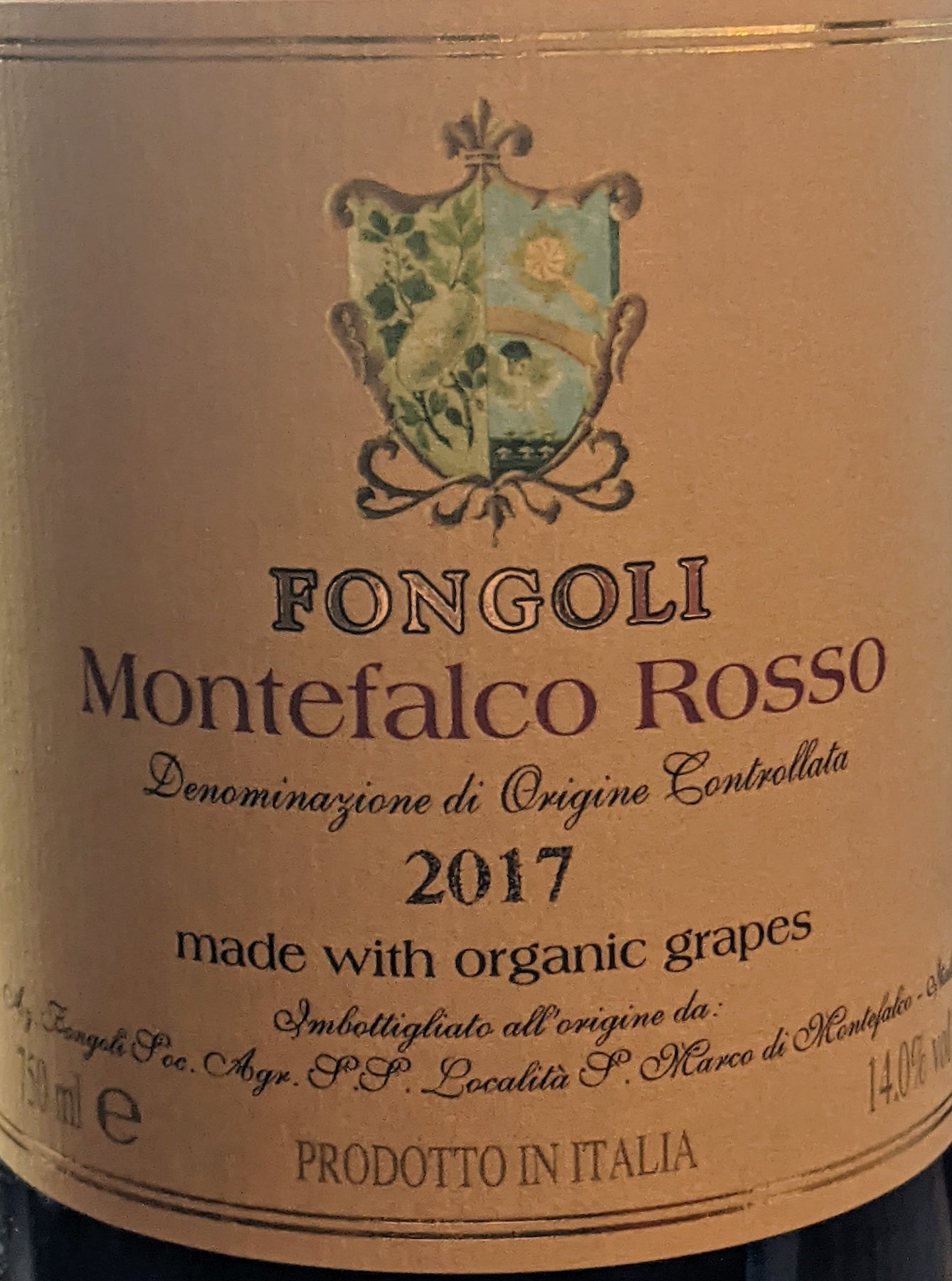 Fongoli Montefalco Rosso DOC, 2019 | The Wise Old Dog