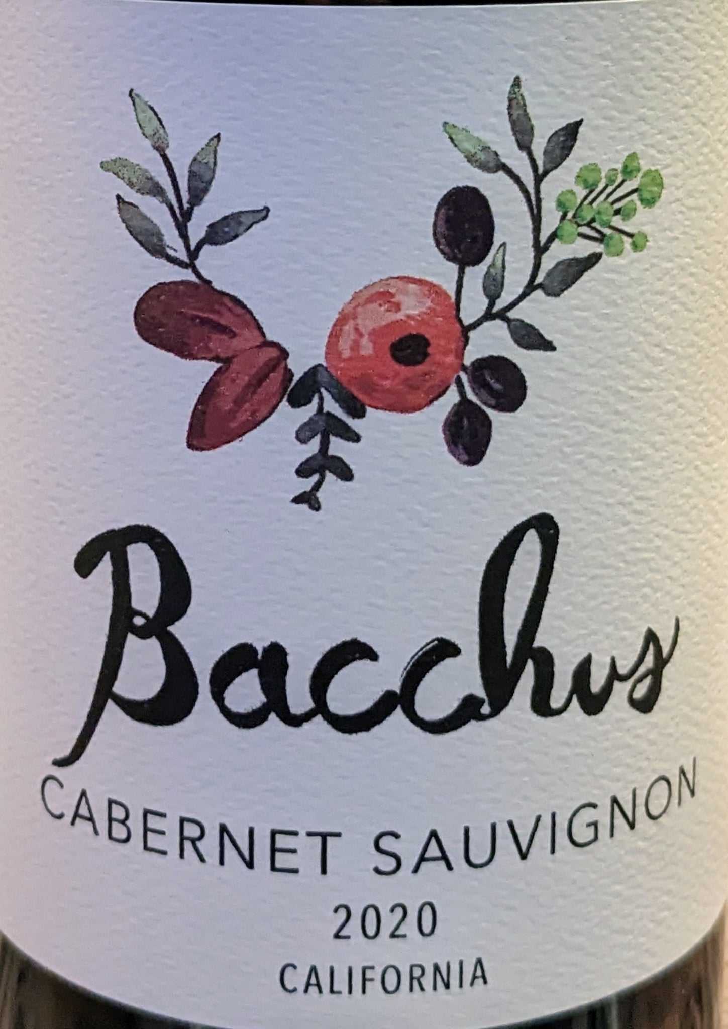 Bacchus Cabernet Sauvignon California, 2021 | The Wise Old Dog